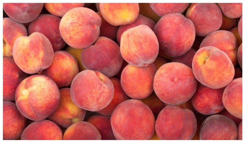 PEACH FLAVOR BREWER'S BEST 4 OUNCE FLAVORING FOR SODA BEER MEAD WINE ...