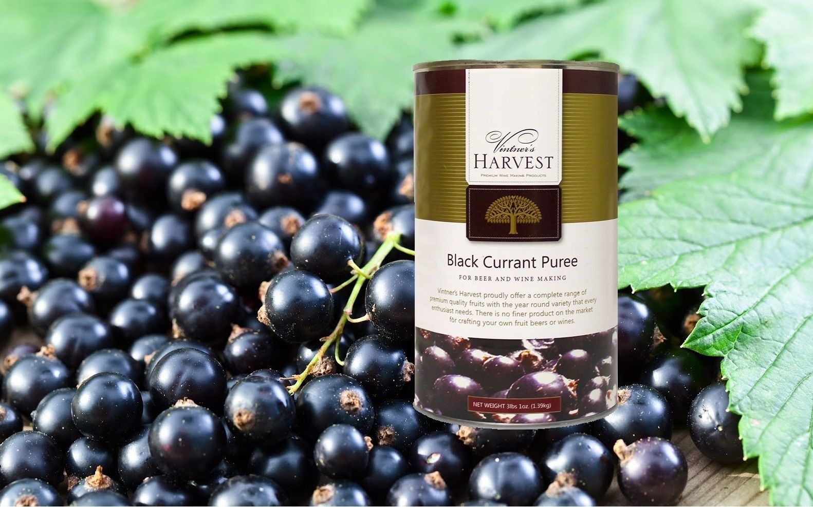 BLACK CURRANT FRUIT PUREE VINTNERS HARVEST WINE BEER MEAD MOCKTAIL BASE ...